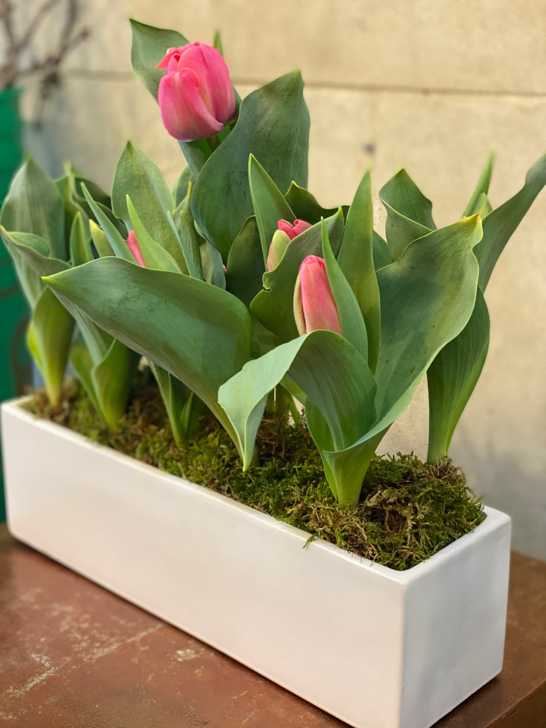 seasonal – Demarco-Perpich Flowers